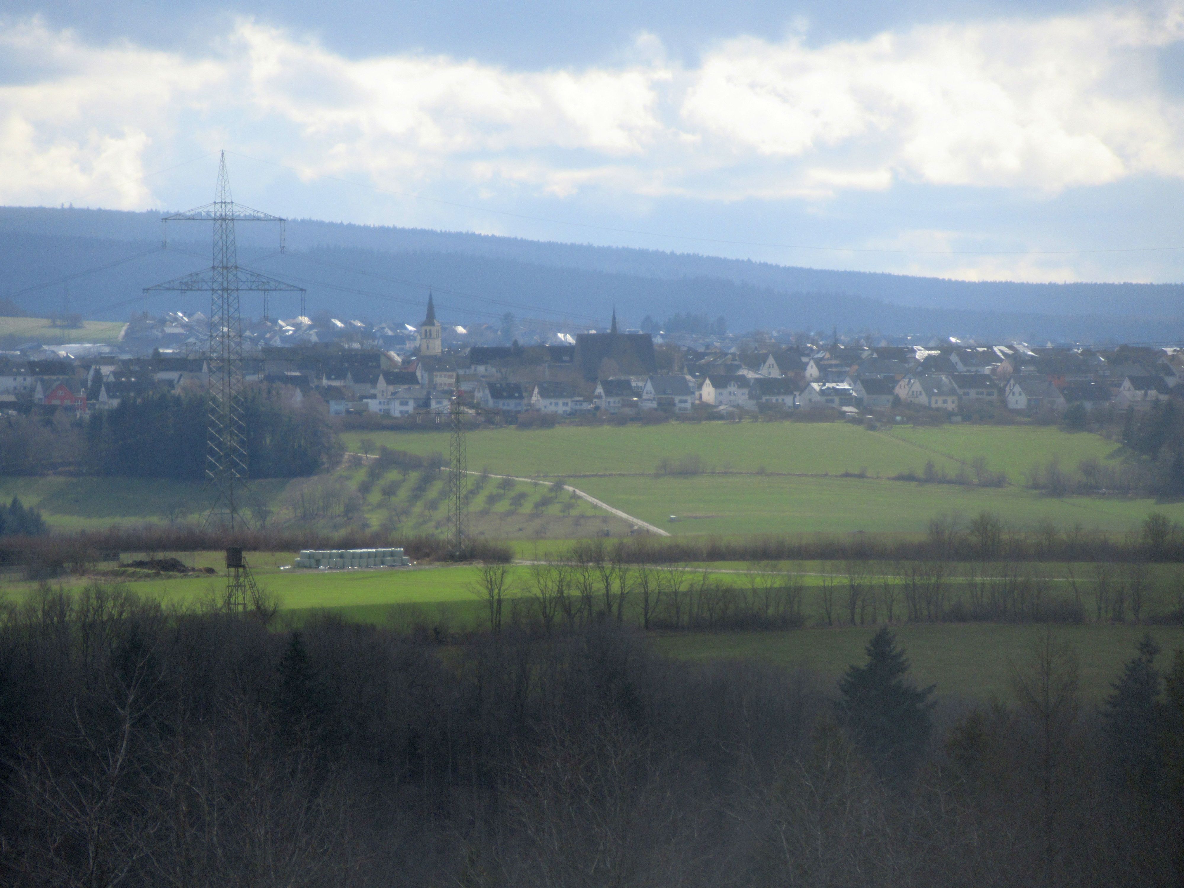 Ortsgemeinde Thomm - Startseite